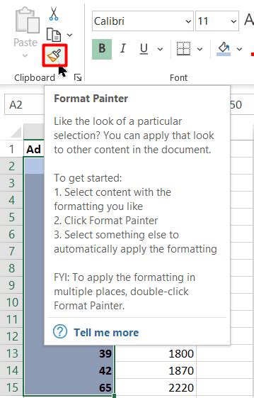 Format Painter Button