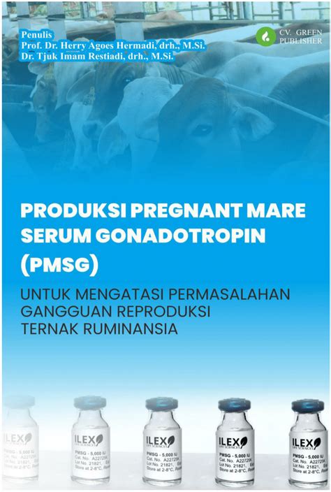 Pdf Buku Pmsg Herry And Tjuk 1