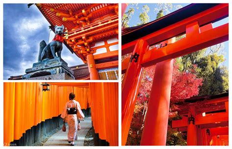 Hutan Bambu Arashiyama Kiyomizu Dera Kinkaku Ji Temple Dan Fushimi