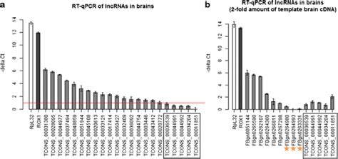 Integrating Rna Seq And Chip Seq Data To Characterize Long Non Coding Rnas In Drosophila