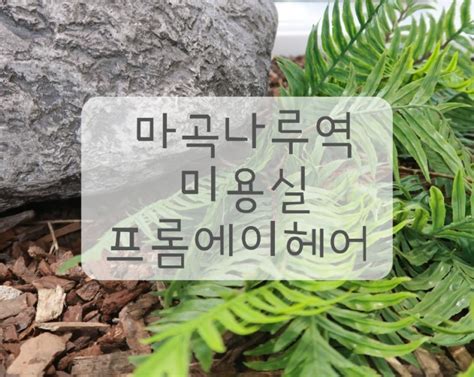 마곡나루역미용실 프롬에이헤어 레이어드펌 후기 네이버 블로그