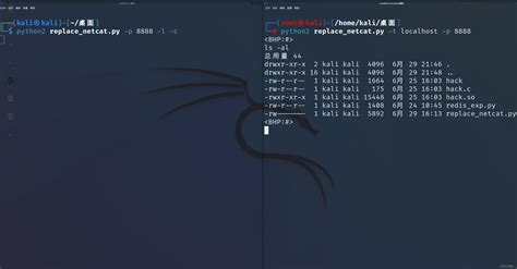 超细划重点 攻击服务器没有netcat如何使用python替代（取代netcat）python Netcat Csdn博客