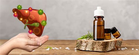 Homeopathic Remedies For Liver Parenchymal Disease Effective And Natural Solutions Schwabe India