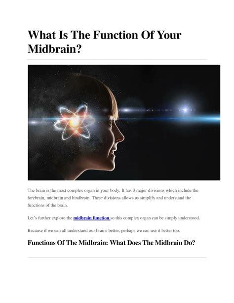 Ppt Midbrain Function Powerpoint Presentation Free Download Id8241498
