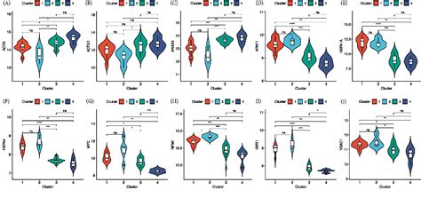 Figure 8 From Construction Of Molecular Subtype Model Of Osteosarcoma Based On Endoplasmic