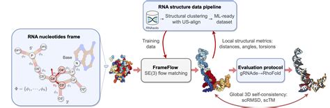 rna frameflow flow matching for de novo 3d rna backbone design