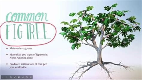 PowerPoint Presentations Just Got Better With These Improvements Windows Central