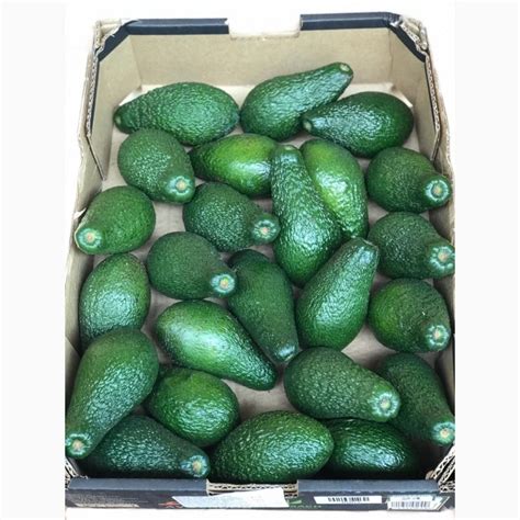 Продам овощи фрукты опт купить овощи фрукты опт Одесская обл — Agro