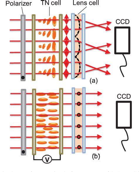 Figure 3 From Polymer Network Liquid Crystal Pnlc Lenticular Microlens Array With No Surface