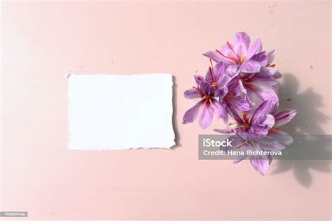 Crocus Sativus 일반적으로 사프란 크로커스로 알려진 그것은 체중 기준으로 세계에서 가장 비싼 향신료 중 하나입니다