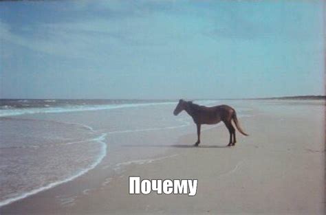 Мем Почему Все шаблоны Meme