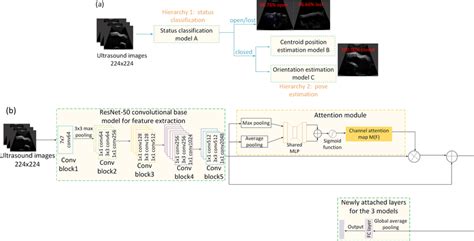 The Hierarchical Neural Network A Depicts The Hierarchical