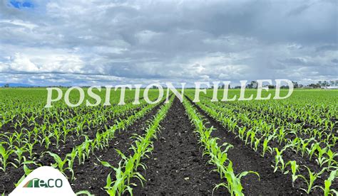 Tidy Contract Milker Role In Ohaupo Reco