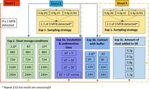 Overview Of Experiments Arrows Indicate What Experiments Are Done With