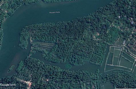 Complete Dataset Instance Segmentation Dataset By Coconut Tree Patches