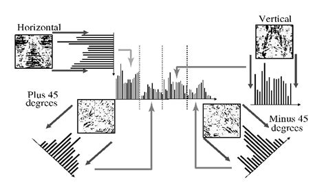 Figure 10 From An Edge Based Face Detection Algorithm Robust Against