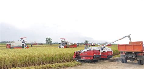 မိုးစပါးနှင့်နွေစပါးအတွက် အခြေခံရည်ညွှန်းစပါးဈေးနှုန်းကို ငွေကျပ် ၆၃ဝဝဝဝ သတ်မှတ်