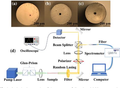 Figure 1 From Picosecond Gain Switched Polymer Fiber Random Lasers Semantic Scholar