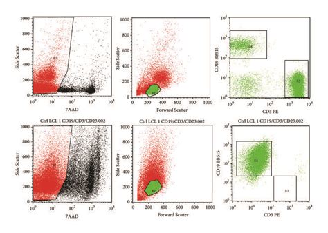 T Cell Cd3 And B Cell Cd19 Surface Marker Profiling By Flow