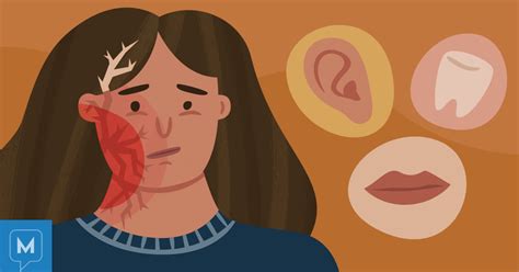 What Does The Trigeminal Nerve Have To Do With It Migraine Com