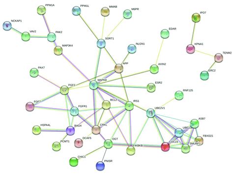 Protein To Protein Interaction Ppi Network Based On The Prediction Of