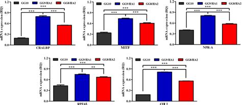 Figure 1 From Fabrication And Evaluation Of Gellan Gumhyaluronic Acid Hydrogel For Retinal