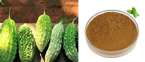 High Quality Bitter Gourd Extract Manufacturers Suppliers Factory