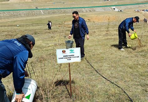 🇲🇳🌳Монгол Улсын Ерөнхийлөгчийн “Тэрбум мод” санаачлагын хүрээнд Нийгмийн Хамгааллын Тусгай Төв
