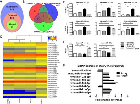 mirna profiling identifies differential mirna expression in lungs of