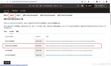 Macbookpro（m1芯片）安装java开发环境及软件mac安装java开发环境 Csdn博客