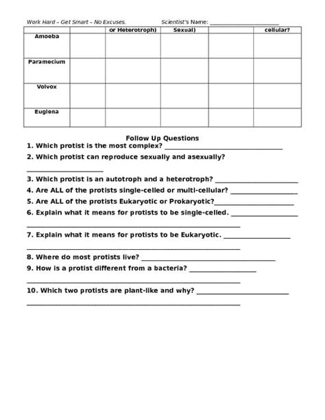 Protists Review Guide By Bringing Science To Life Tpt