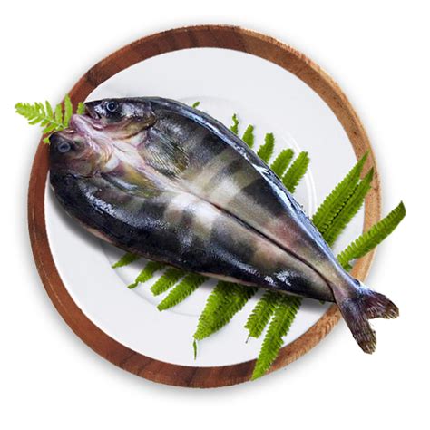 【奧利奧生鮮】日本道地花魚一夜干／花魚／魚／一夜干／海鮮／日本 蝦皮購物