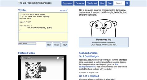 How To Install And Try Golang In Mac By Cahya Amalinadhi Golang Yuk