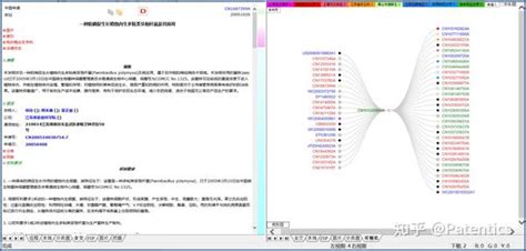 可视化的专利引用关系 知乎
