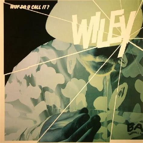 Wiley Wot Do U Call It Ep Lyrics And Tracklist Genius