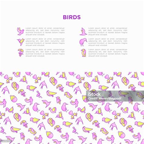 비둘기 올빼미 펭귄 참새 제비 키위 앵무새 독수리 허밍 버드 핑크 플라밍고 얇은 라인 아이콘 세트조류 개념 현대 벡터 일러스트레이션 인쇄 미디어 템플릿 갈매기에 대한 스톡