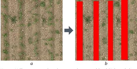 Figure 1 From Weed Detection In Maize Fields By Uav Images Based On Crop Row Preprocessing And
