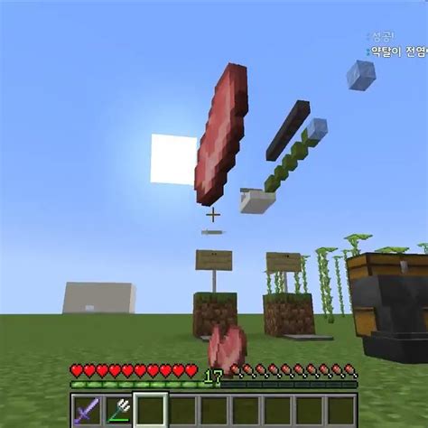 약탈 효율적으로 쓰는 방법 [마인크래프트] Youtube