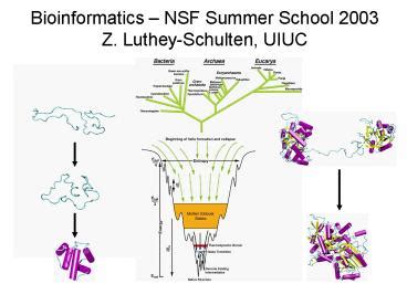 PPT Bioinformatics PowerPoint Presentation Free To Download Id Ada NzMxY
