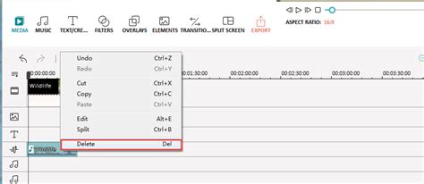 How To Replace The Audio Track In A Video