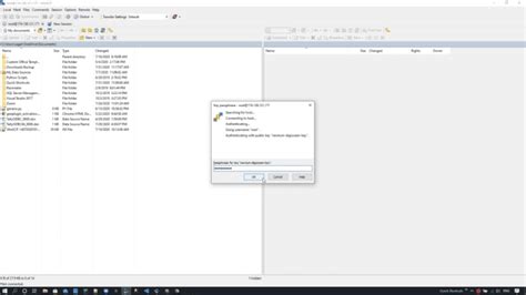 Vps Connecting Using Winscp And Putty Terminal Newtum