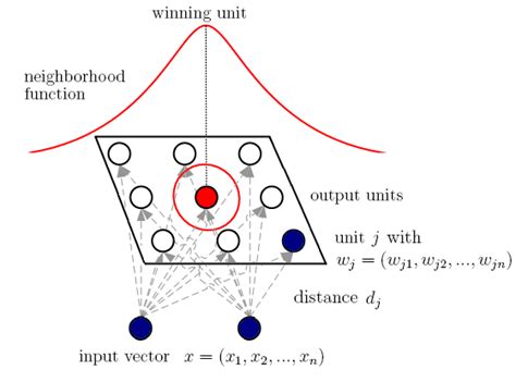 8 Topology Of A Simple Self Organizing Map 46 Download Scientific