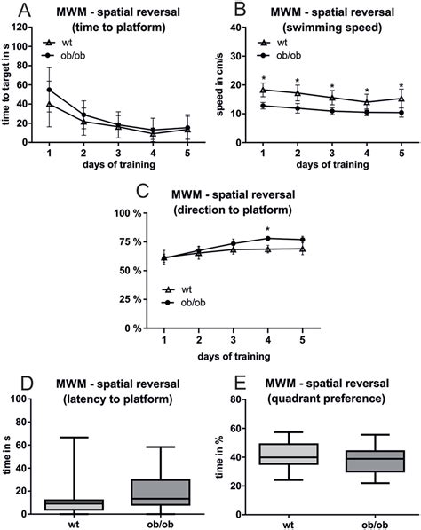 in the spatial reversal experiment of the mwm the platform was
