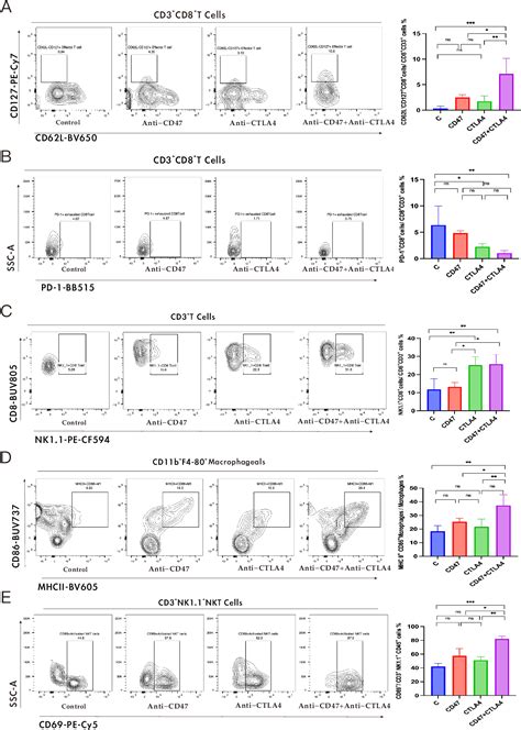 Figure 2 From The Combination Of Anti Cd47 Antibody With Ctla4 Blockade
