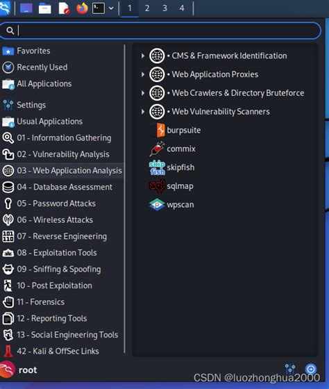 Kali工具集简介kail工具介绍 Csdn博客
