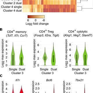 Gene Expression Of Single TCR And Dual TCR TILs Gene Expression Of Download Scientific Diagram