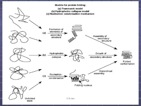 Protein Folding Sid