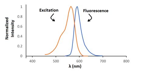 Tritc Tetramethylrhodamine Isothiocyanate Tdb Labs