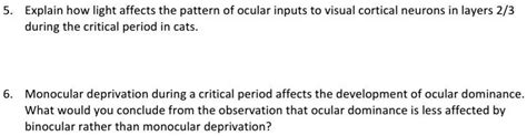 Solved 5 Explain How Light Affects The Pattern Of Ocular Inputs To Visual Cortical Neurons In