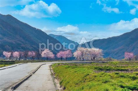春の青空と田舎の山と桜の風景 No 3382895｜写真素材なら「写真ac」無料（フリー）ダウンロードok